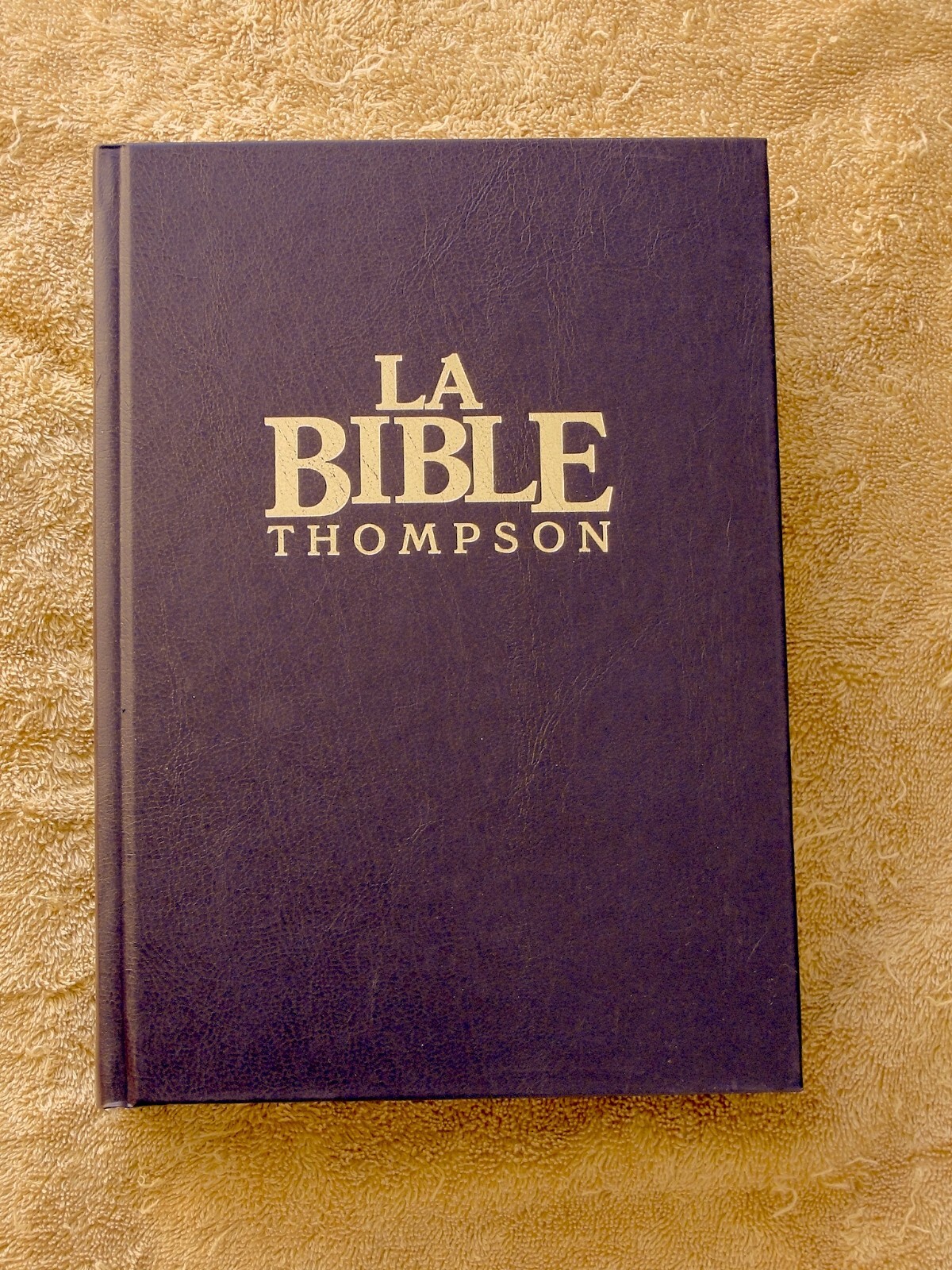 French Thompson Chain Reference Bible, Geneva New Version Imitation ...
