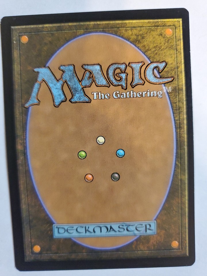 MTG Magic The Gathering Card Gnarlroot Trapper Creature Elf Druid Black ...