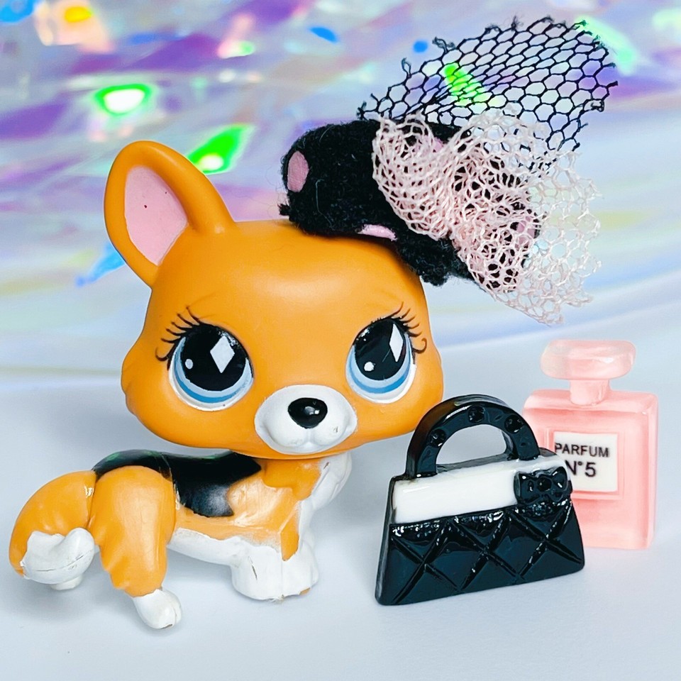 Authentic Littlest Pet Shop LPS #639 Tan White Corgi Puppy Dog Blue ...