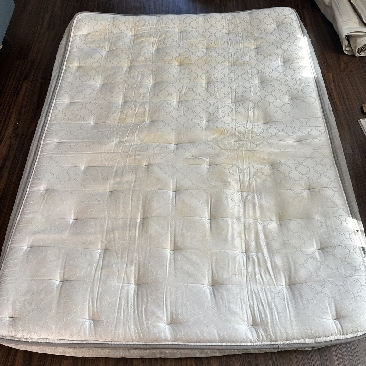 Select Comfort Replacement Mattress Cover Eight Sleep | Shop Pod