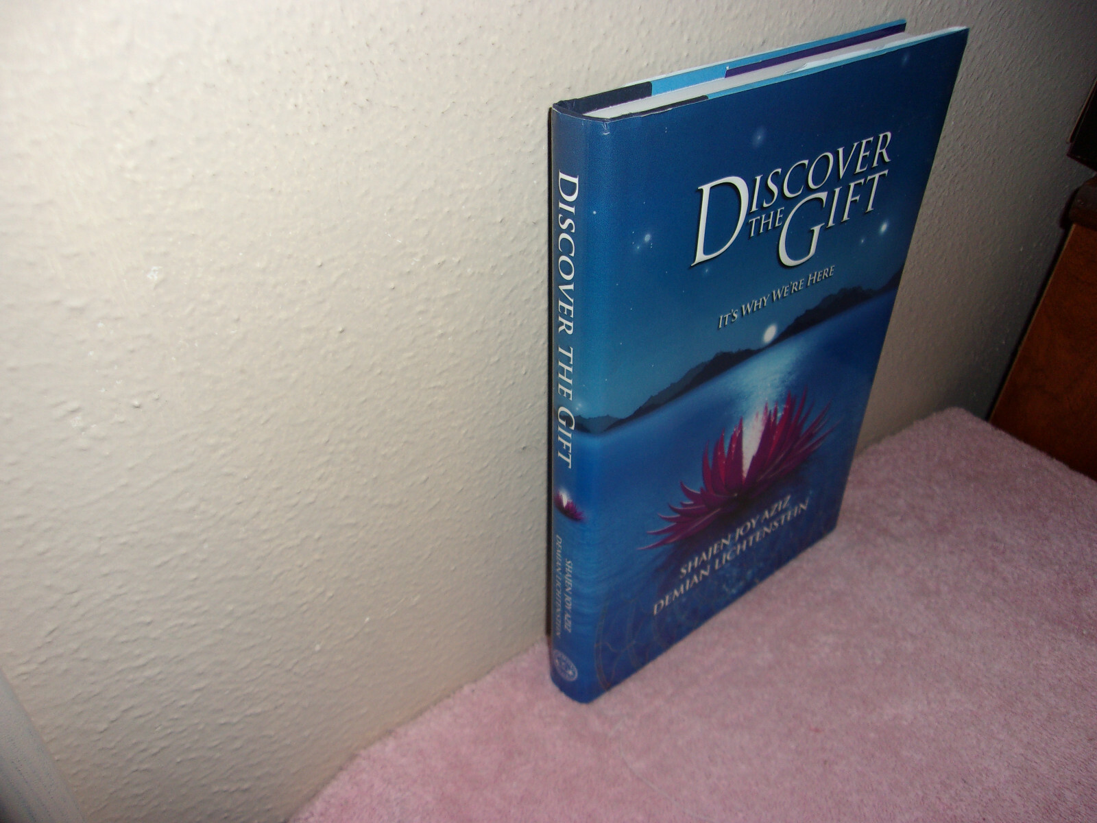 Discover the Gift by Demian Lichtenstein and Shajen Joy Aziz (2011 ...