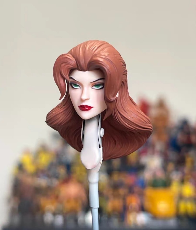1/12 Painted Comics Human Hawkgirl Head Carved Fit For 6inches Action ...