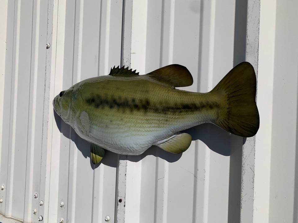 23" Largemouth Bass Half Mount Fish Replica - Left Facing - Quick ...