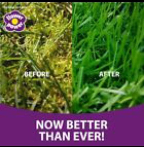 Richard Jackson Flower Power Moss Remover & Lawn Feeder, Organic ...