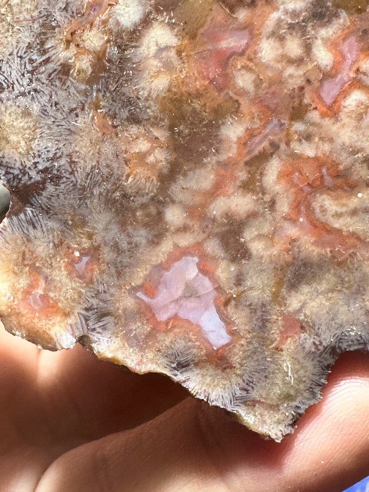 Agatized Utah Barite nodule **hxtled end cut. | eBay