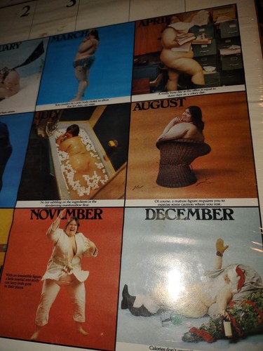Bridget's Diet Calendar 1991 Unopened Ivory Tower Publishing Kitschy ...