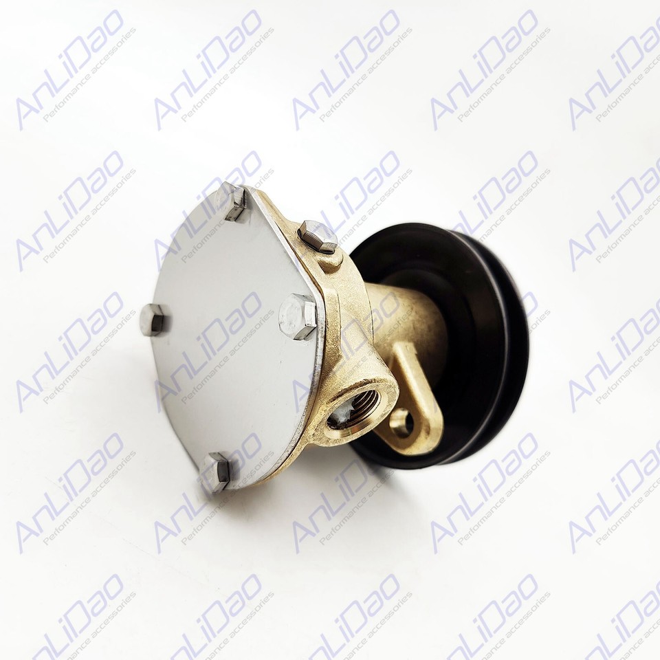 Engine Sea Water Pump GM46936 GM104855 344371 344089 For Kohler ...