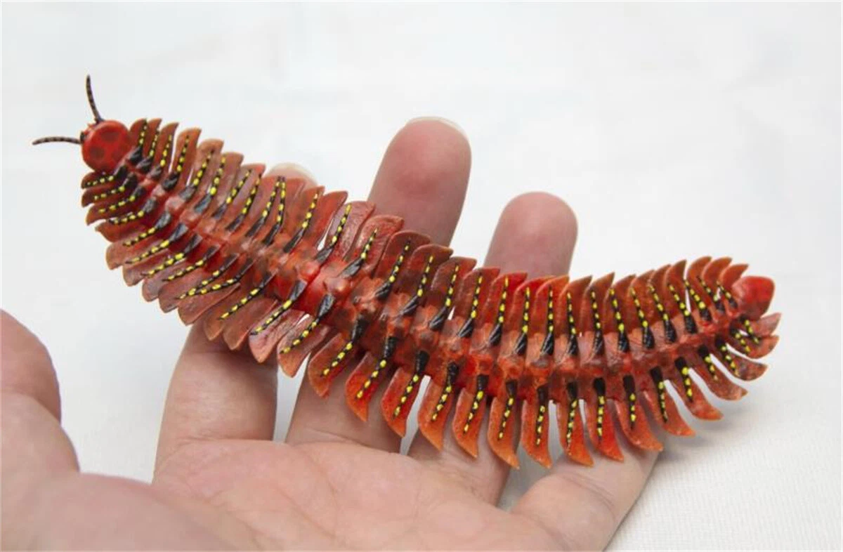Giant Prehistoric Centipede