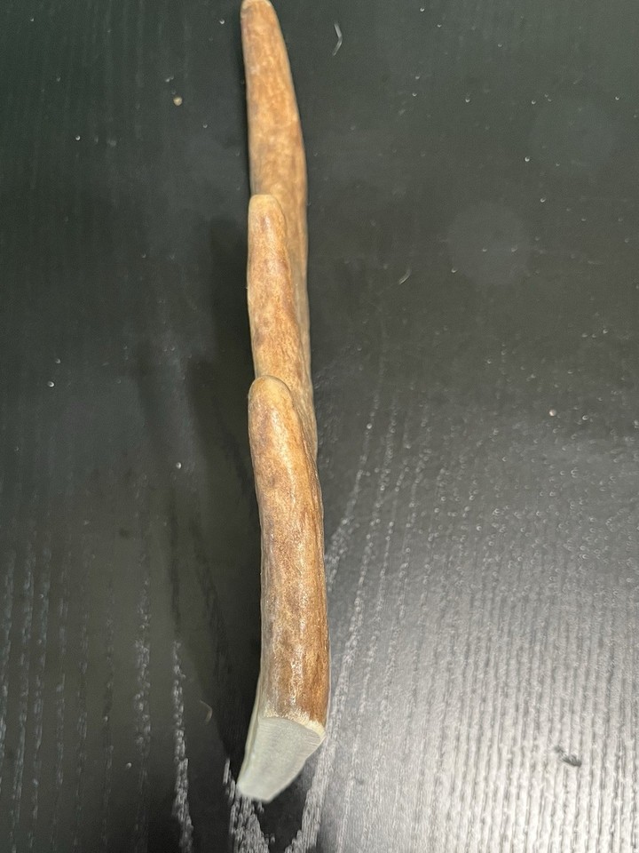 Utah MOOSE 9” Antler Dog Chew(#7)Dog Chew | eBay