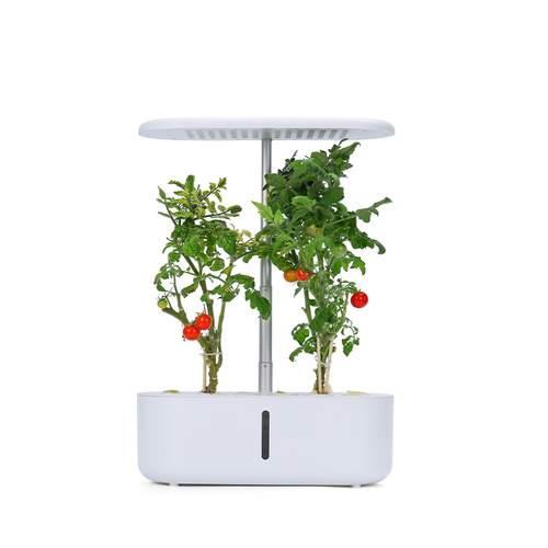 Intelligent Hydroponic Planter Fully Automatic Leisure Plant Vegetable ...