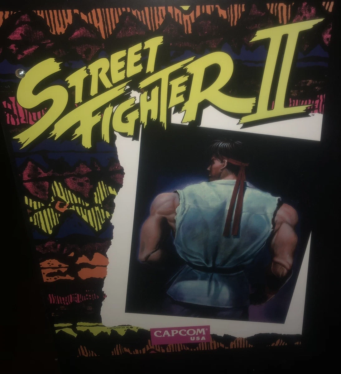 Street Fighter Legacy