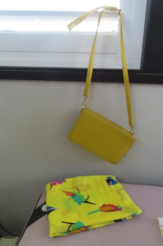 Ladies lime lemon citrus shoulder carry bag Gorgeous bag w/ 2 straps ...