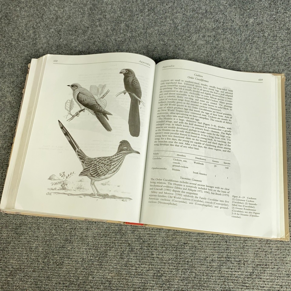 Ornithology Frank B. Gill 1995 RARE 2nd Edition HC Zoology Birds Avian ...