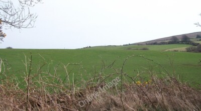 Photo 6x4 Improved grassland near Fron Olau Llangybi/SH4241 c2010 | eBay UK