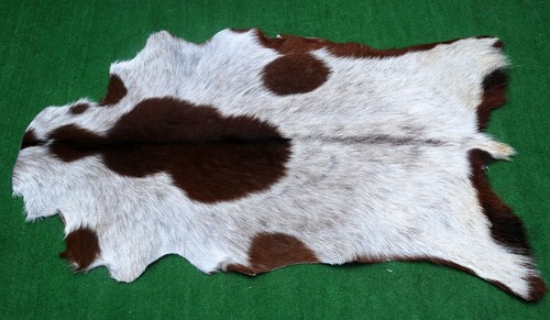 GOAT Western taxidermy Hide Rug Natural Pattern Fur Goat Hide Rode SA ...