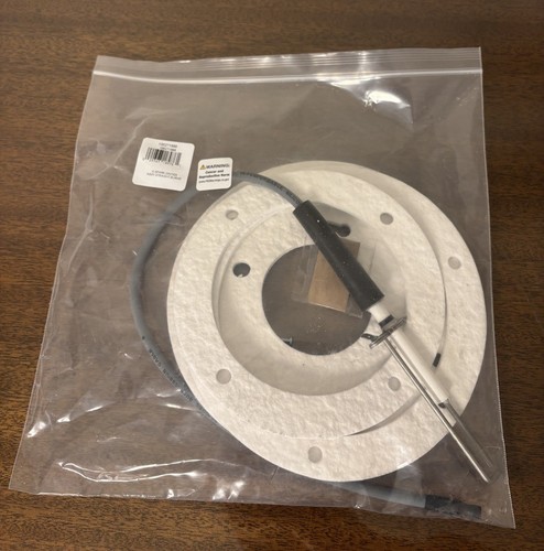 100271888 Lochinvar Spark Ignitor Assembly OEM 100271888 | eBay