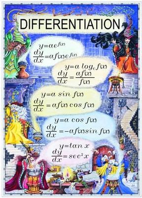 Differentiation. Senior Maths Poster. Educational Aid. Math Poster ...