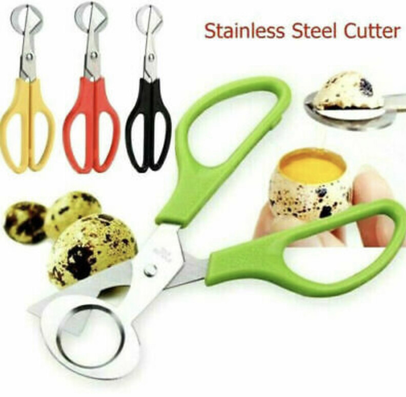 Stainless Steel Quail Egg Scissors - FREE n FAST SHIPPING - USA SELLER ...