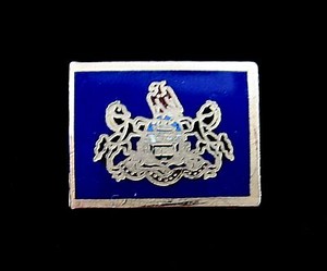 PENNSYLVANIA STATE FLAG Pin Lapel Vintage Coat of Arms Pinback PA Blue ...