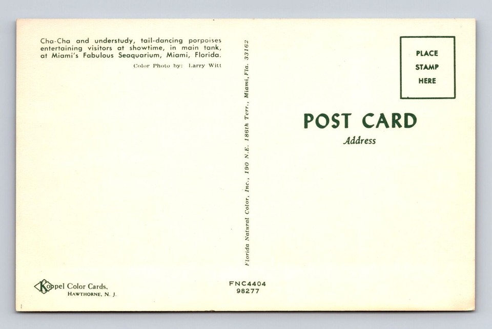 Miami FL-Florida, Cha-Cha, Porpoises, Seaquarium, Advertising Vintage ...