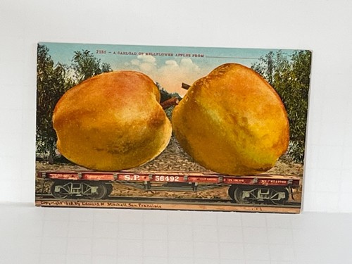Postcard Exaggerated Apples on Train A24 | eBay