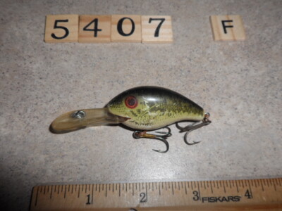 T5407 F REBEL DEEP WEE R FISHING LURE NATURALIZED COLOR | eBay