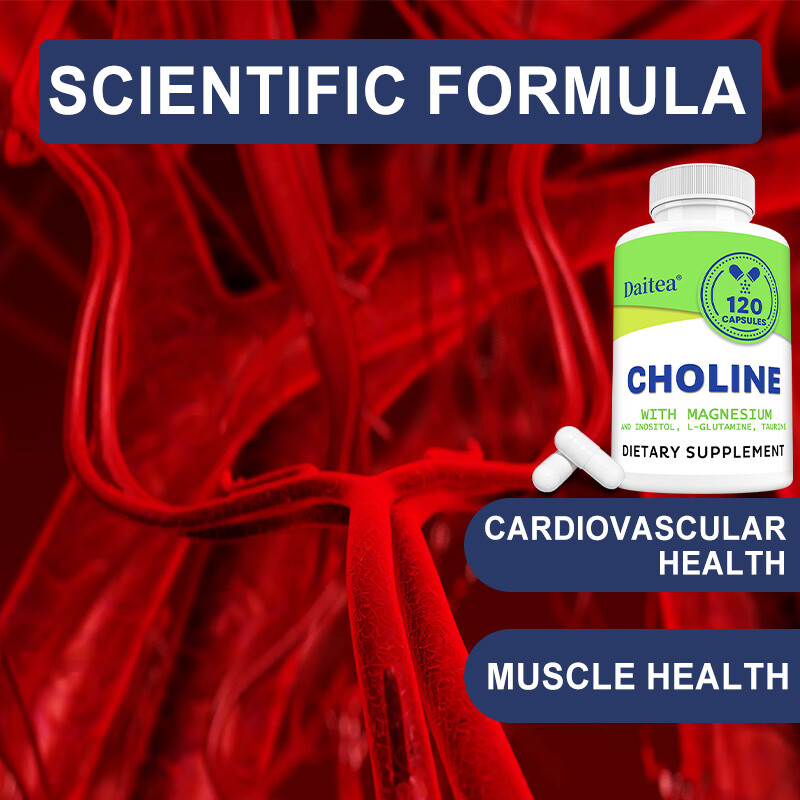 Choline Supplements 120 Capsule Promote Energy Liver Brain ...