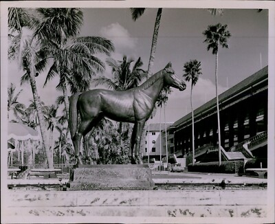 LD208 1965 Original Jim Raftery Photo CITATION RACE HORSE Hialeah ...
