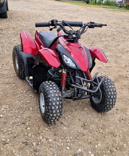 Apache tomahawk Kids 50cc Quad Bike ATV 50 | eBay