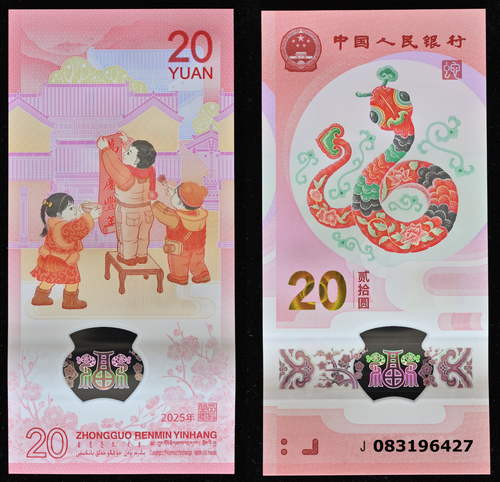 China 20 Yuan banknote 2025, P 919, UNC Commemorative POLYMER snake ...