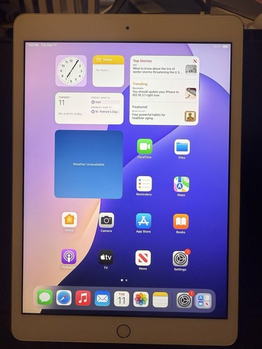 Apple iPad (8th generation) 32GB Wi-Fi + Cellular Unlocked A2428 ...