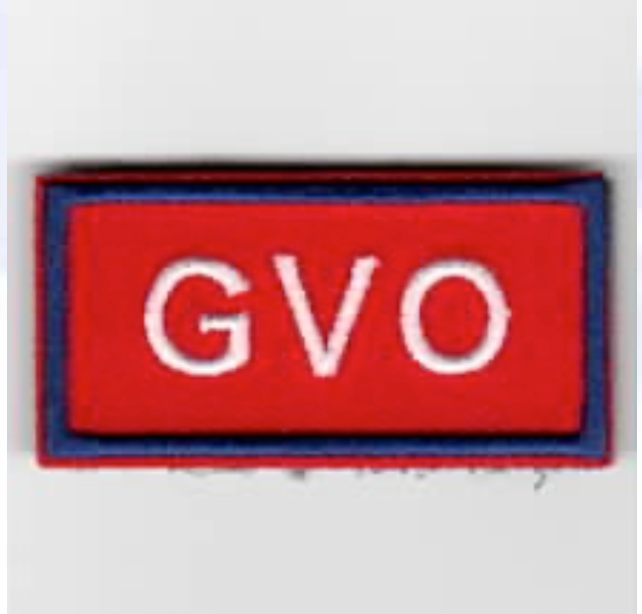 FSS - 85FTS GVO EMBROIDERED PATCH | eBay