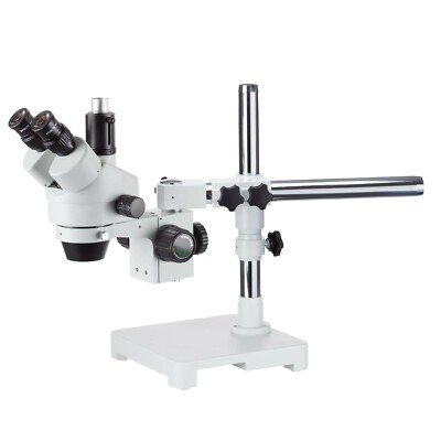 Ophthalmology & Optometry - Ocular Lens