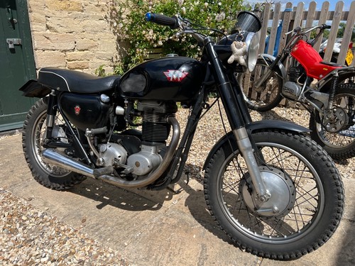 1964 Matchless 500 Street Scrambler/ Bobber, great looking bike | eBay UK