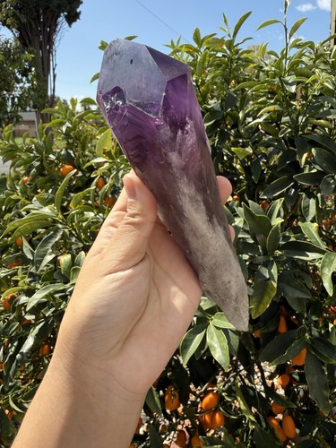 7.8"1.31LB Natural Amethyst Obelisk,Crystal wand point,Dragon tooth | eBay