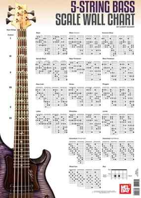 5-String Bass Scale Wall Chart 9780786685684| eBay