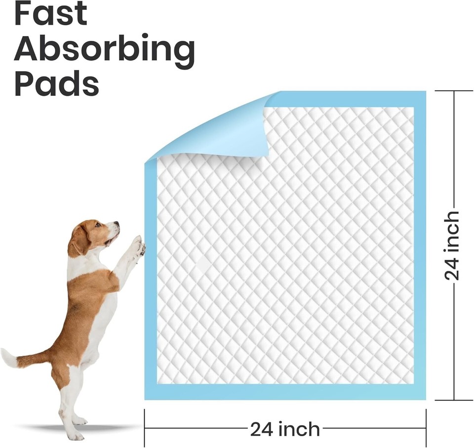 FPN Wee Wee Pee Pads Unscented Pee Pads Blue Potty Training Pads for ...