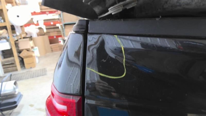 Trunk/Hatch/Tailgate With Rear View Camera Fits 15-17 FORD F150 PICKUP ...