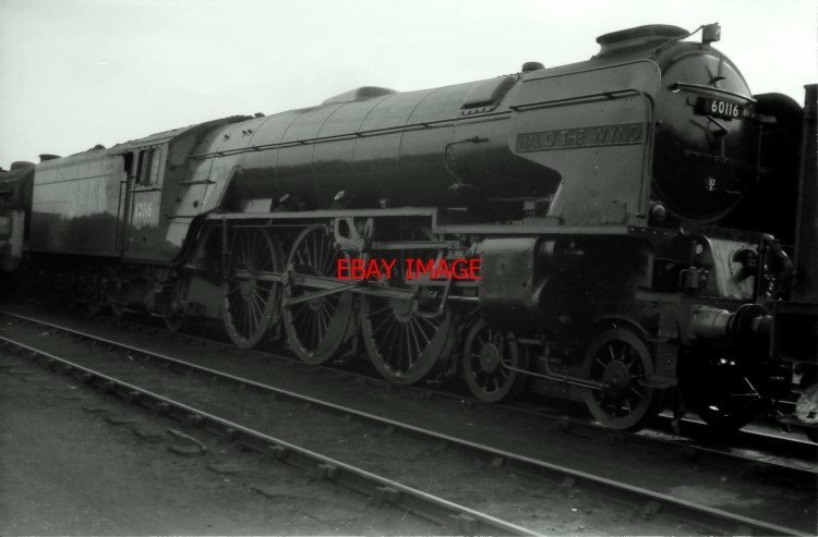 PHOTO (2) LNER THOMPSON A1 PACIFIC 60116 'HAL O' THE WYND' IS IN ...