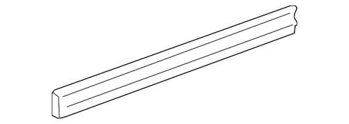 Genuine GM Black Front Passenger Side Door Molding 15169406 | eBay