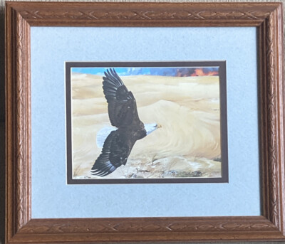 Flying Bald Eagle Framed Print Mario F. Fernandez Hanging Wall Art ...