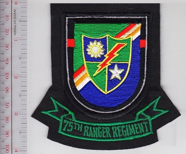 Ranger US Army 75th Airborne Infantry Regiment 1st Ranger Battalion ...