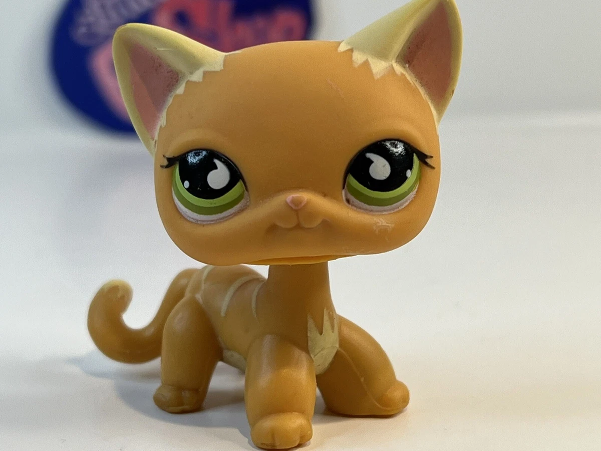 Littlest Pet Shop Cat Ebay
