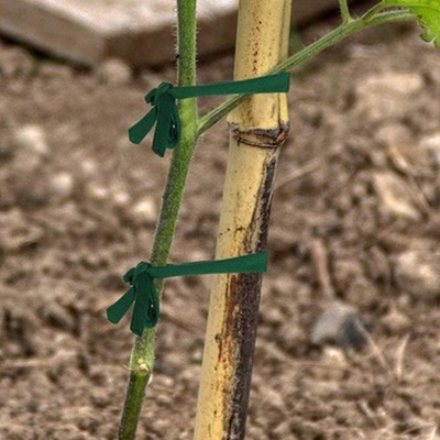 4 Rolls Tree Support Strap Straps for Securing Trees Staking Ties | eBay UK