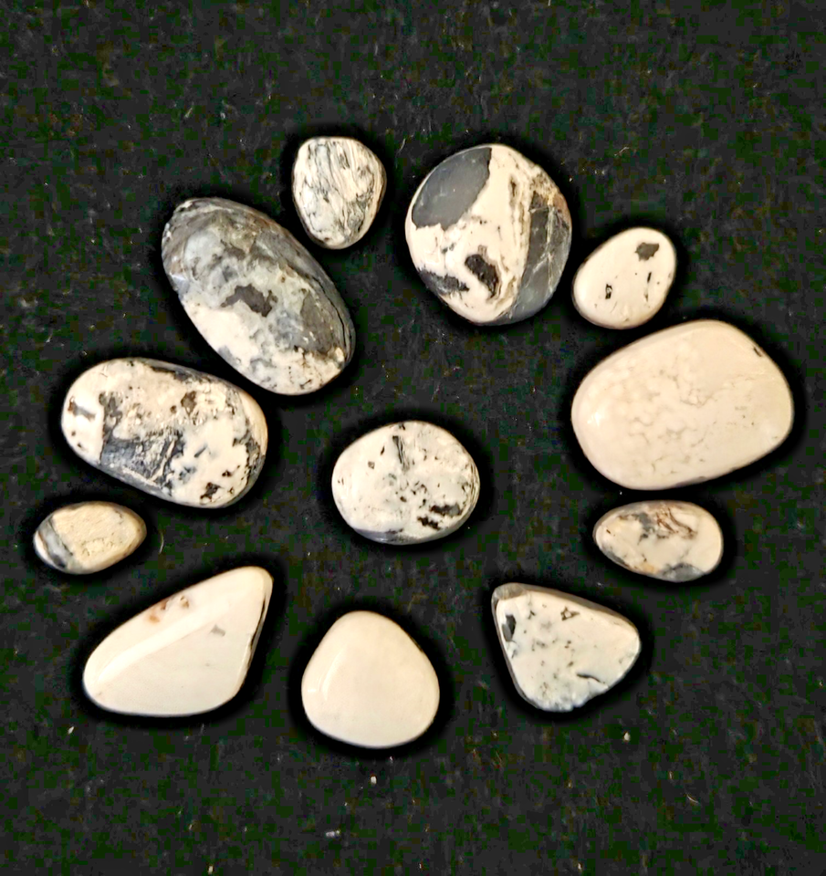 Lot of 12 Natural White Buffalo Turquoise Cabochons AAA High Grade | eBay