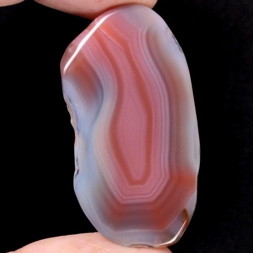 53.00 Ct Natural Rare Botswana Agate Fancy Slice Flat Gemstone Crystal ...