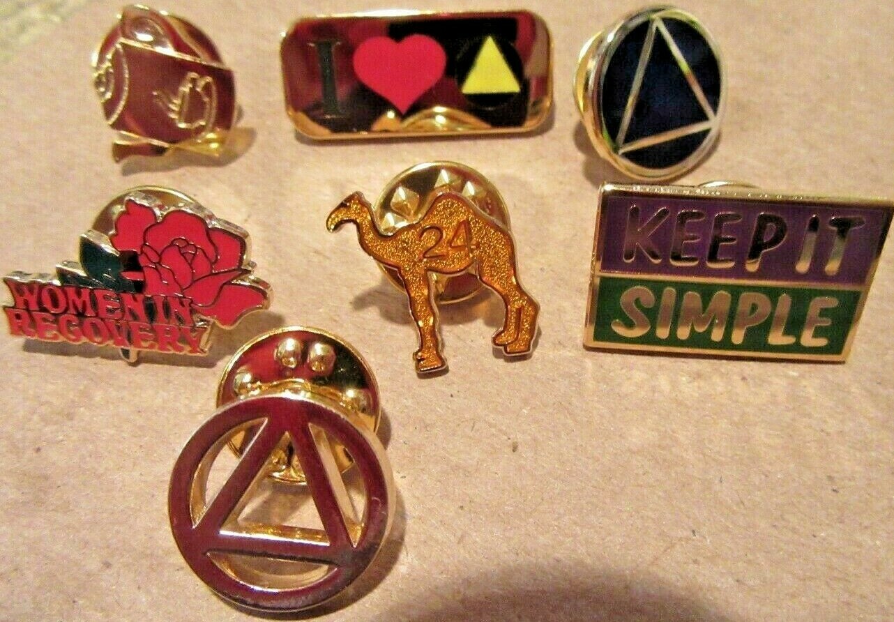 Alcoholics Anonymous AA Symbols Lapel Hat Vest Pin Recovery Sobriety ...