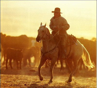 2000 Vintage Print California Cowboy Vaquero Twisselman Ranch Carissa ...