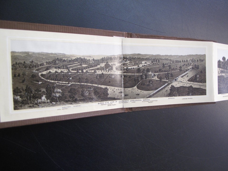 Scarce Viewbook Cincinnati Zoo Accordion Style Birds Eye View Animals ...