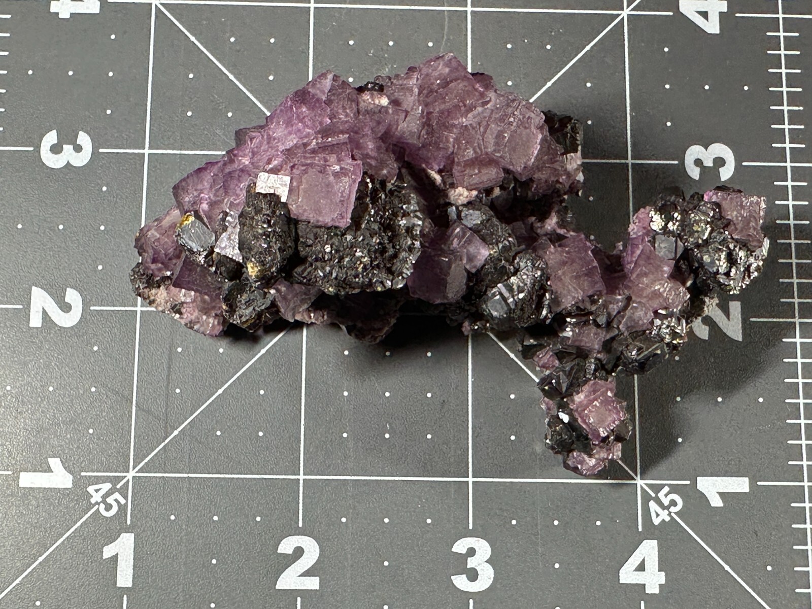 3-1/2" PURPLE FLUORITE CRYSTALS & SPHALERITE CLUSTER Elmwood Mine TN ...